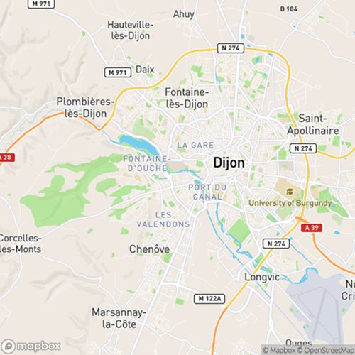 Guía de Dijon para nómadas digitales