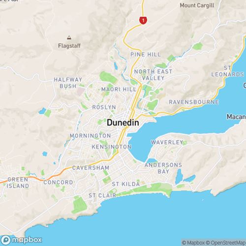 Guía de Dunedin para nómadas digitales
