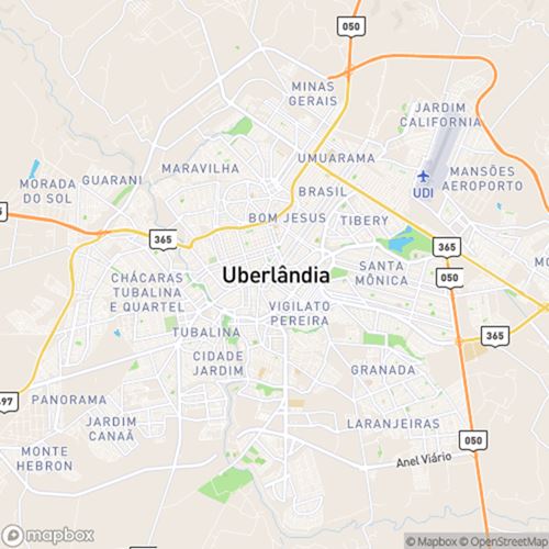 Guía de Uberlândia para nómadas digitales